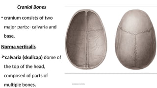 HUMAN ANATOMY OF THE HEAD ( THE SKULL.ppt) | PPTX