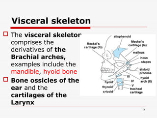 1.2 ELEMENTS OF OSTEOLOGY.ppt well explained | PPT