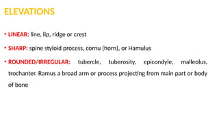 1. General Anatomy of Bones.pptx Types of bones , Classification | PPTX