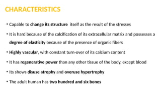 1. General Anatomy of Bones.pptx Types of bones , Classification | PPTX