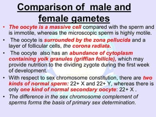 1. EMBRYO Oogenesis,comparison of gametes.pdf