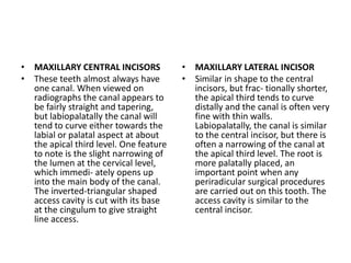1.Morphology of the root canal system pdf.pdf