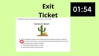 Topic 3 Lesson 3 External Structures and Functions of Plants | PPTX