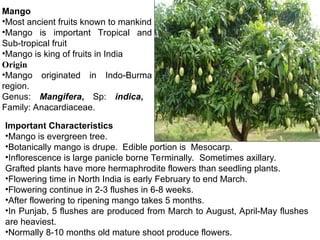 1. This is presentation of MANGO final.ppt