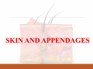 1. Skin and its Appendages like Hair, nail, Sweat Glands etc | PPTX