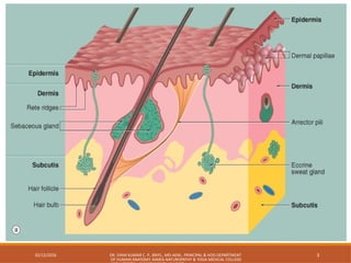 1. Skin and its Appendages like Hair, nail, Sweat Glands etc | PPTX