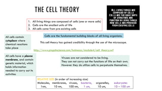 Comprehensive Overview of Cell Structure, Function, and Stem Cells in ...