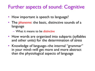 Sound Structure | PPT