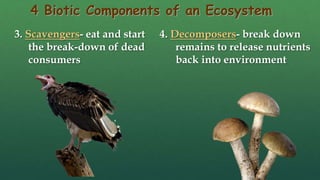 1 28 changes in biological components of ecosystem ms.ls2