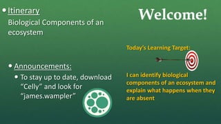 1 28 changes in biological components of ecosystem (original) ms.ls2 ...