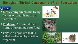 1 28 changes in biological components of ecosystem (original) ms.ls2 ...
