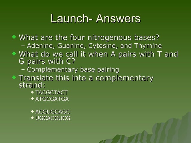 1 28 Write Up For Enzyme Lab | PPT