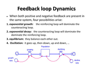 1 29-13 feedback stock-flow | PPTX