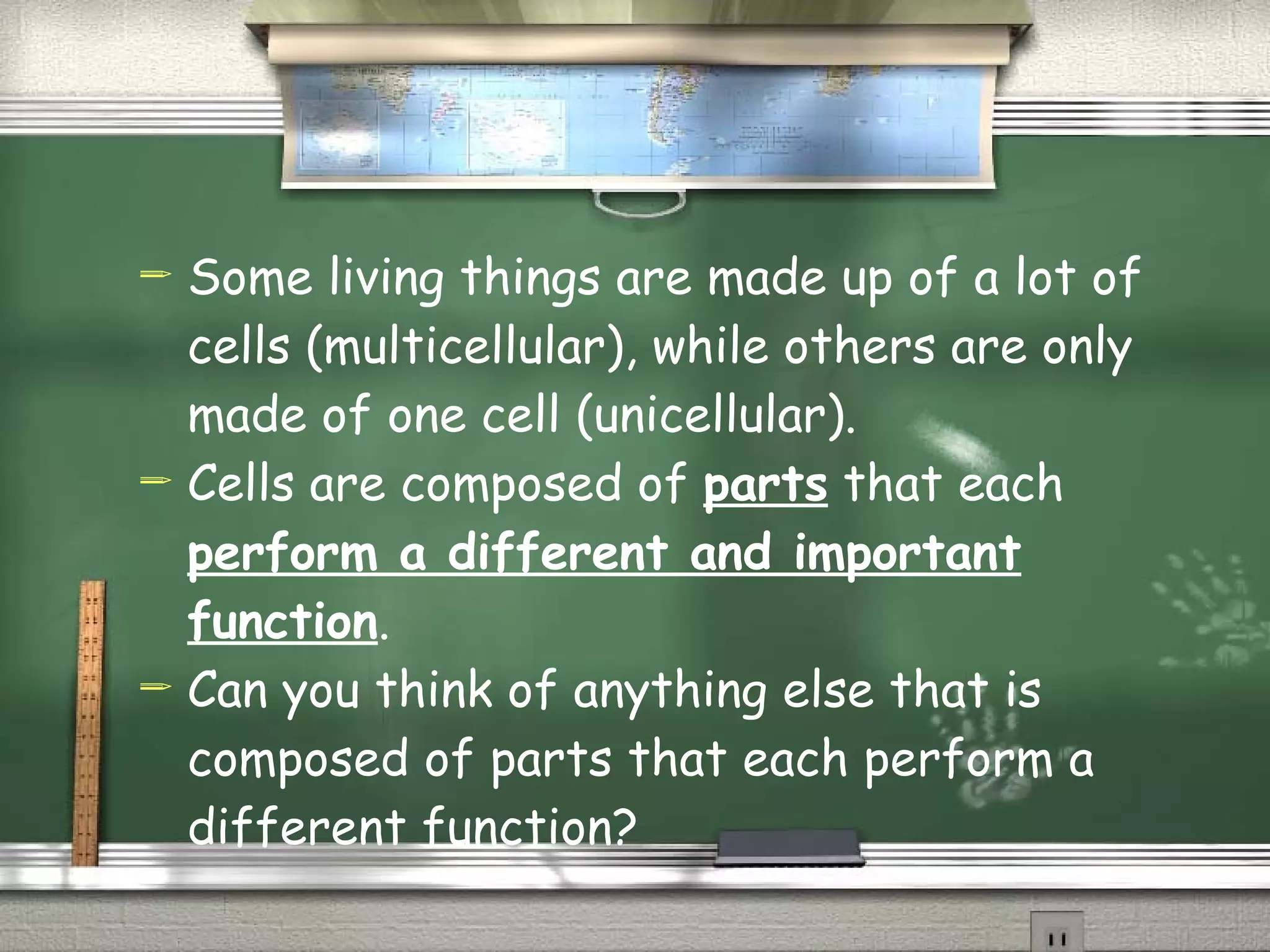 Prokaryotes vs Eukaryotes | PPT