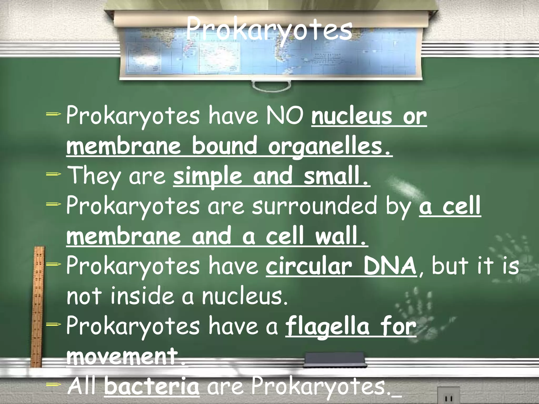 Prokaryotes vs Eukaryotes | PPT