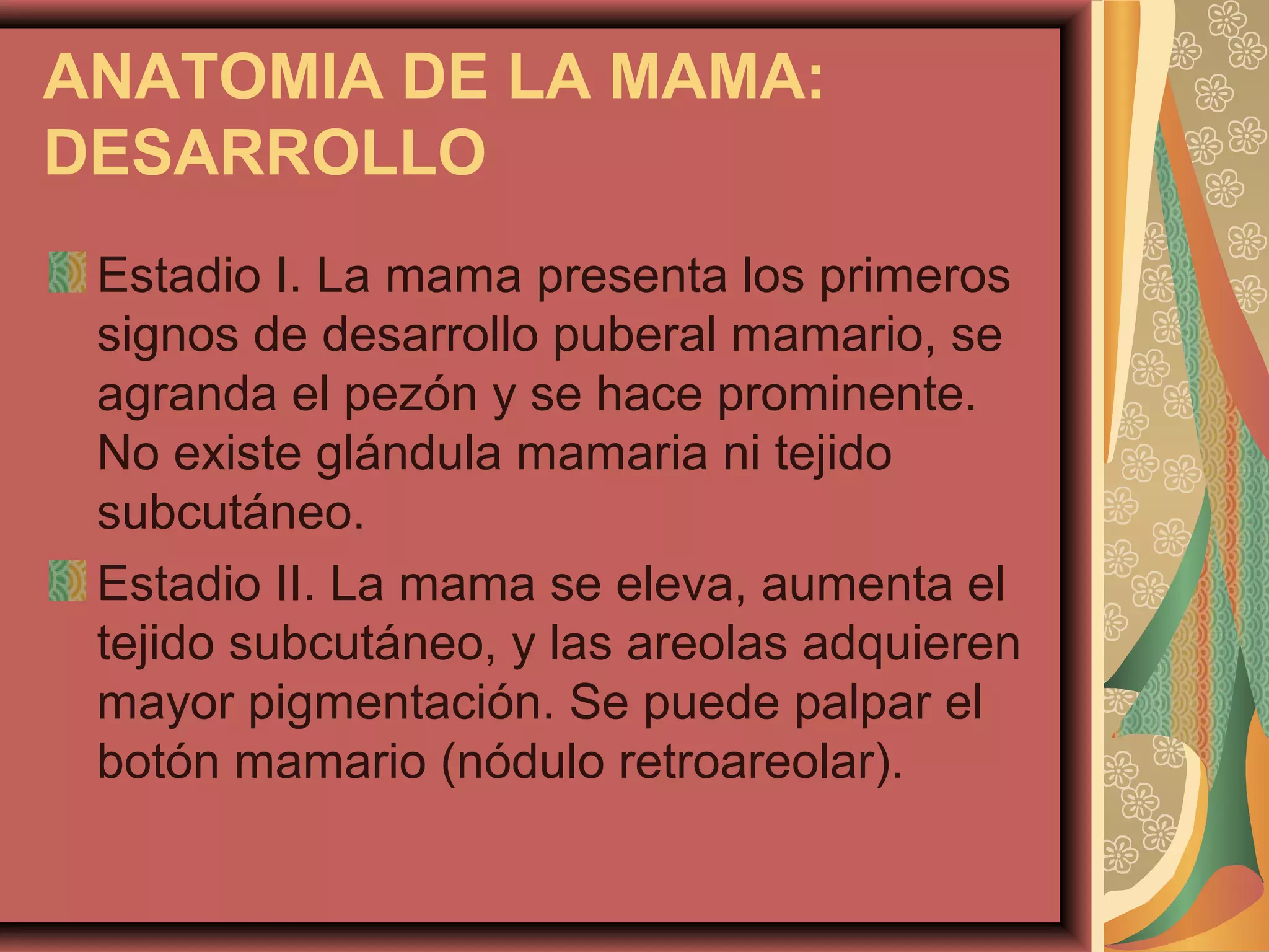 las mamas y sus partes continuación | PPT