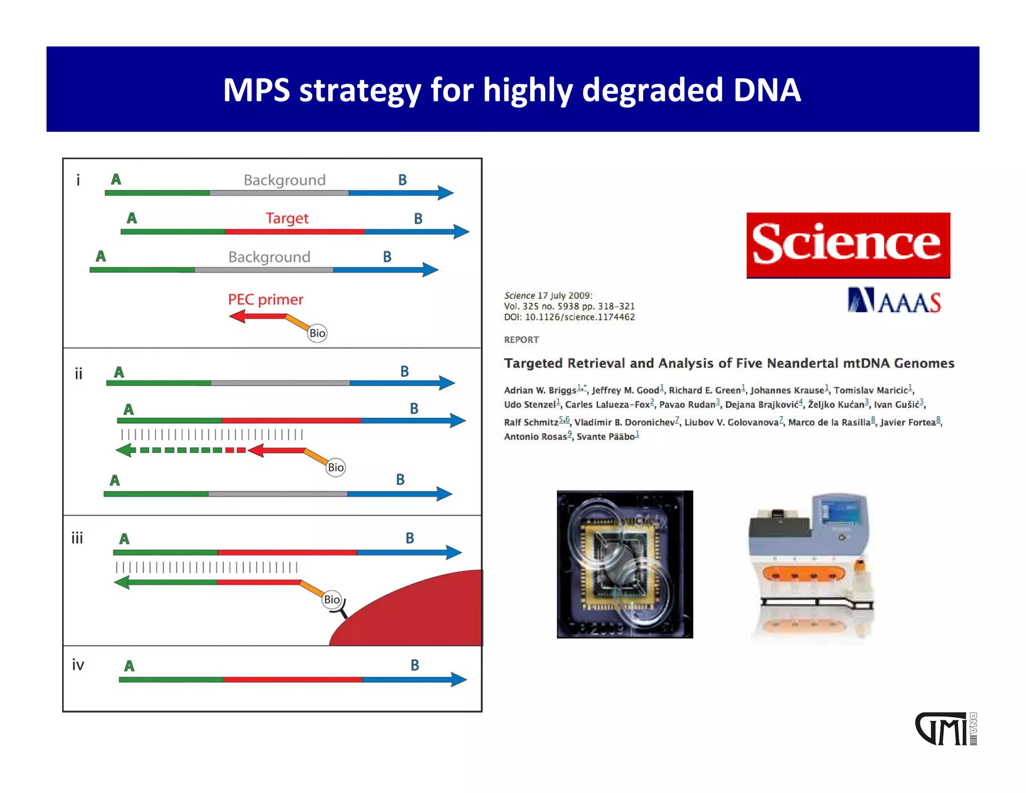 Massively parallel sequencing in forensic genetics | PDF