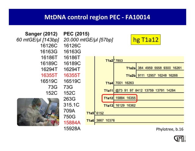 Massively parallel sequencing in forensic genetics | PDF