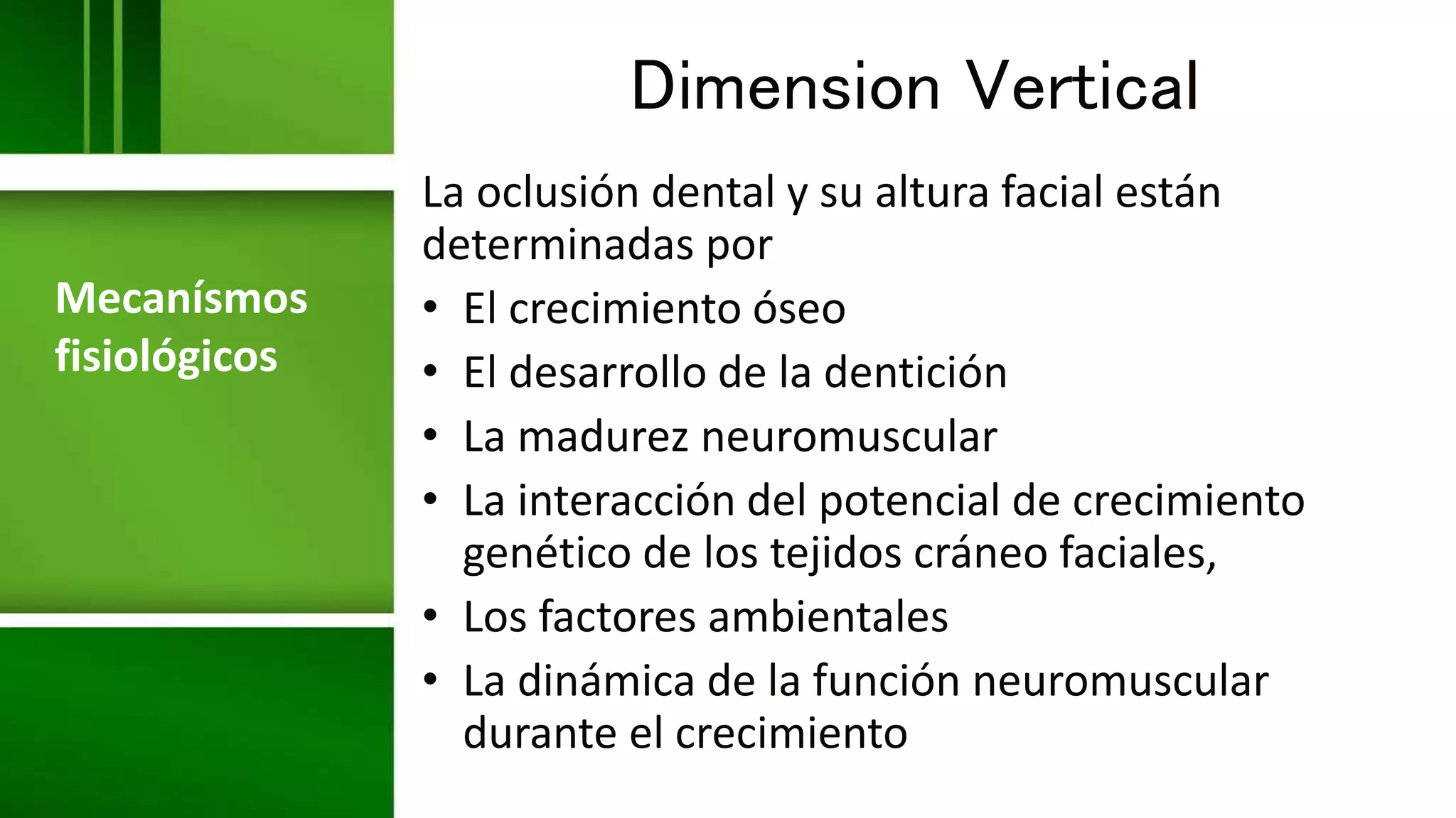 Oclusión 1 2 Concepto de dimensión vertical | PPTX