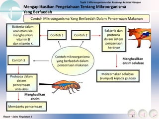 faktor-faktor mempengaruhi pertumbuhan mikroorganisma | PPTX