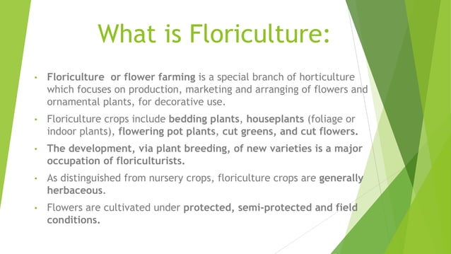 1-2Floriculture and its Importance.pdf