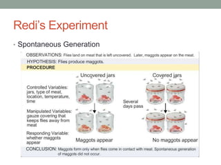 1-2 How Scientists Work | PPT