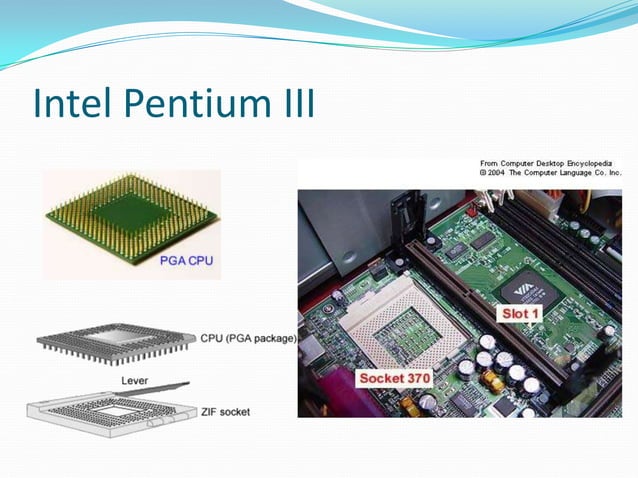 1.2 processor socket | PPTX