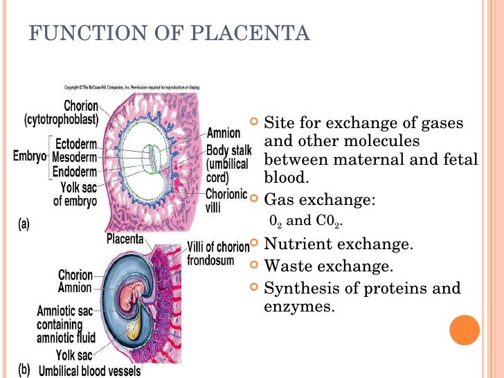 1.2 Reproductive System