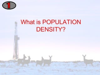 1.2 Studying Populations | PPT