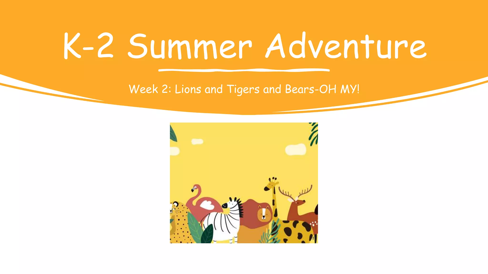 Summer school trip to the zoo | PPT