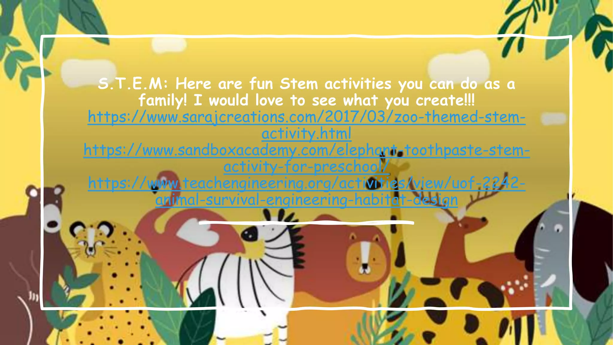 Summer school trip to the zoo | PPT