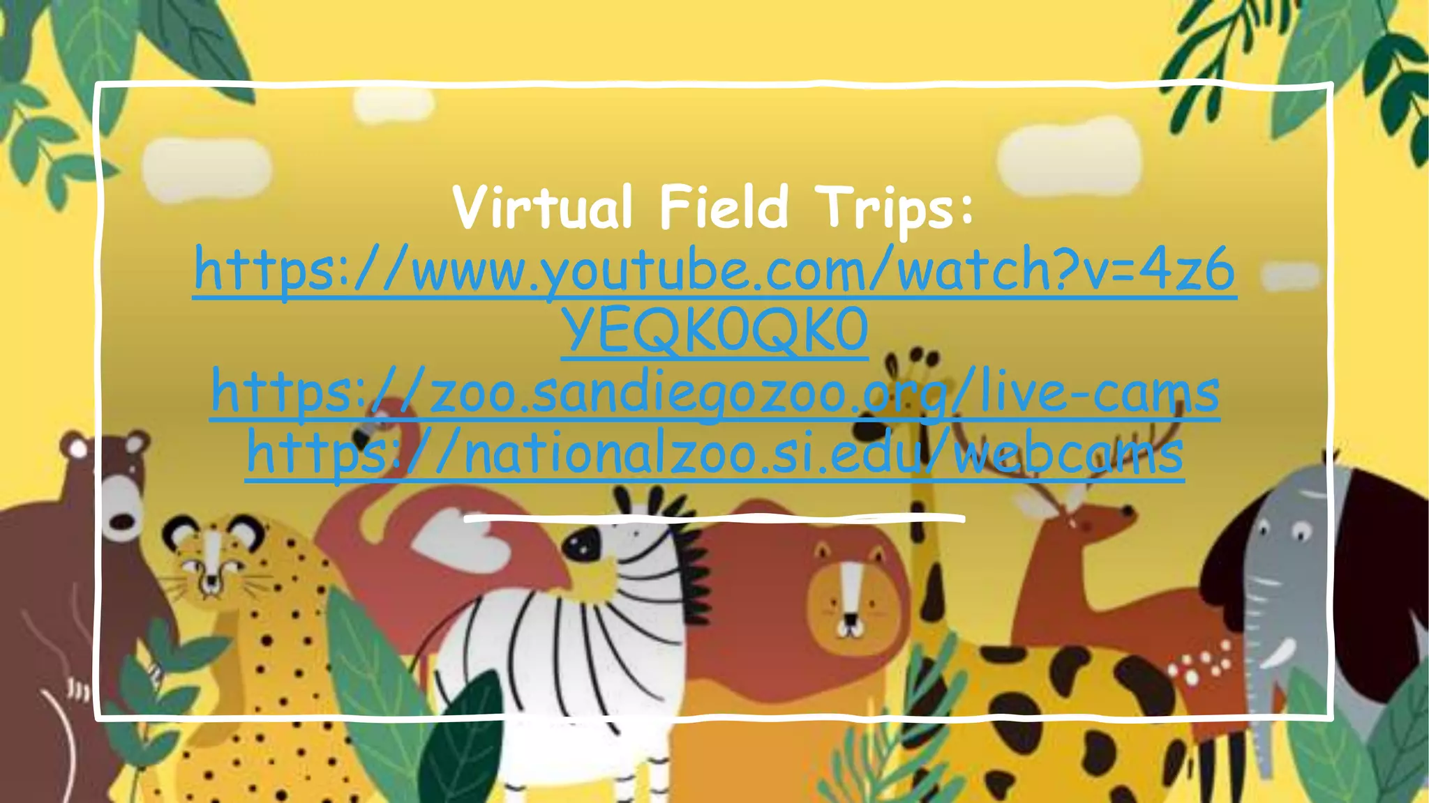 Summer school trip to the zoo | PPT