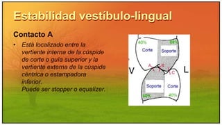 Oclusión 1 2 Vertientes filosóficas, anatomía y contactos a-b-c | PPTX