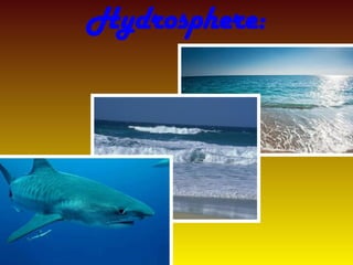 COMPONENTS OF ENVIRONMENT | PPT