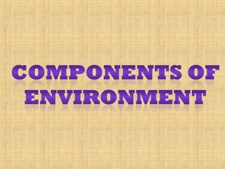 COMPONENTS OF ENVIRONMENT | PPT