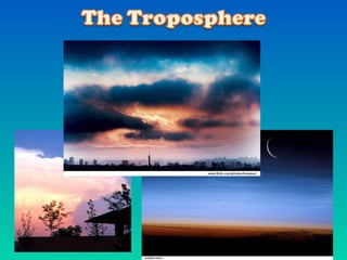 Components of environment | PPT