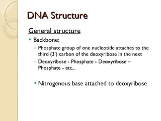 1 3.3 - dna structure | PPT