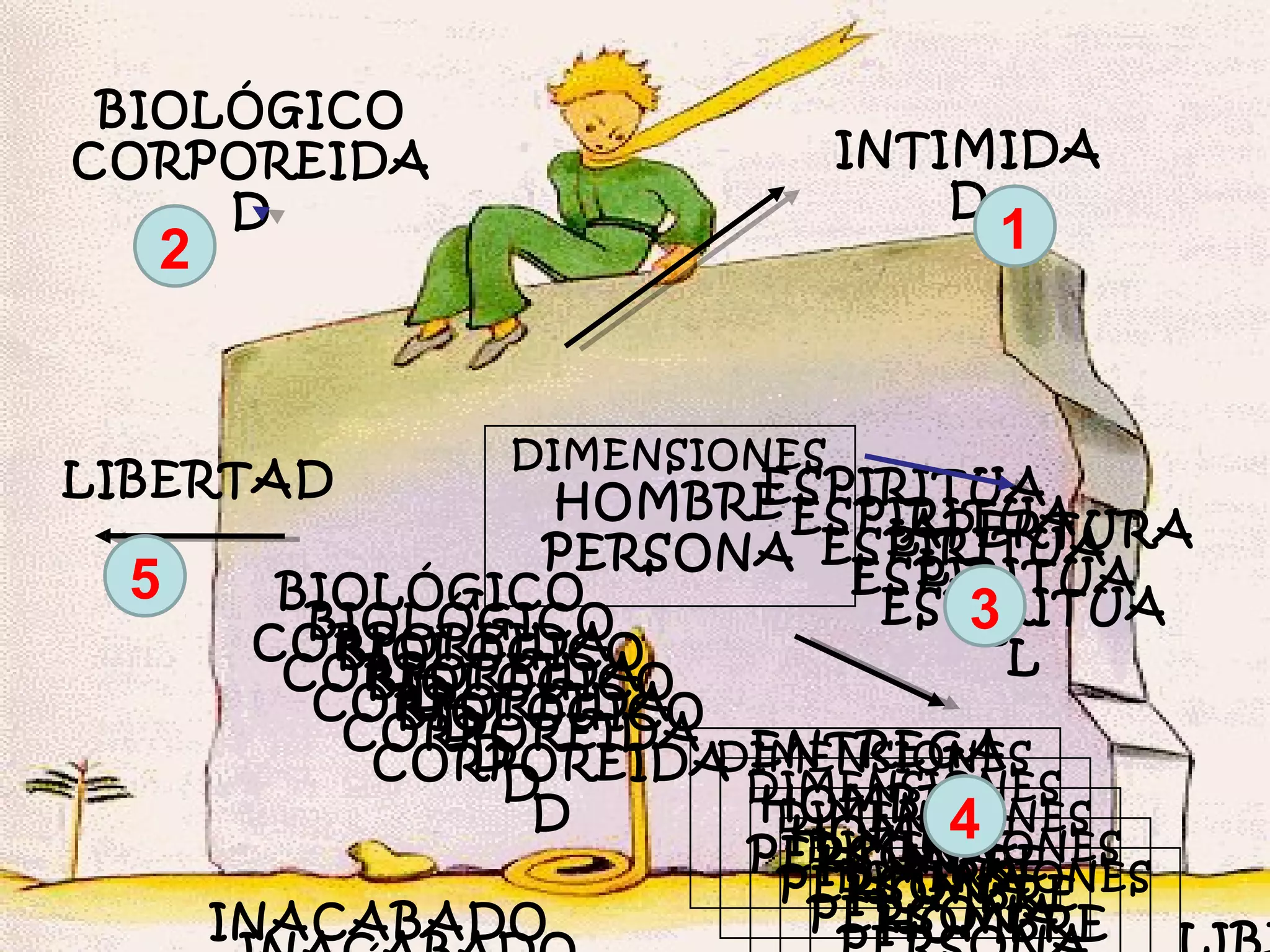 1.3. dimensiones de la persona | PPT | Science