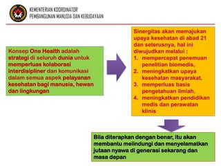 1-3-kemenko-pmk-pendekatan-one-health.pdf