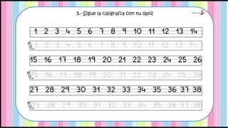 numeros del 1 al 30 | PDF