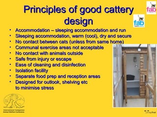 The Confined Cat Part 2: Keeping Safe and Sane - Claire Bessant, Feline ...