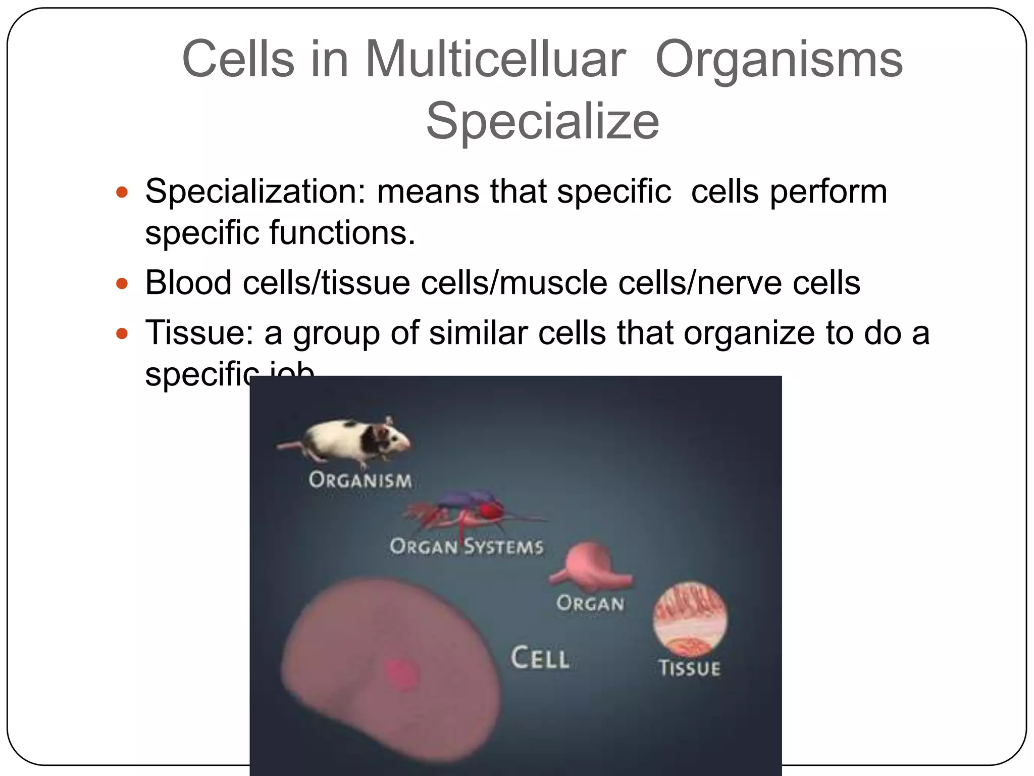 1.3 different cells power point notes | PPTX