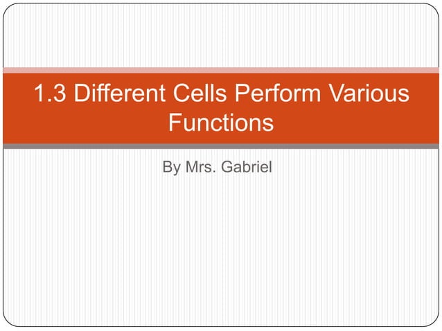 1.3 different cells power point notes | PPTX