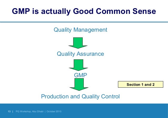 1 3 gmp-purpose-principles-guidelines