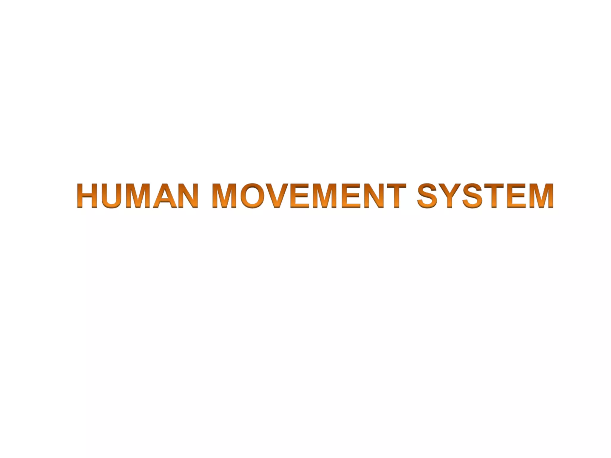 1.3 human movement system | PPT