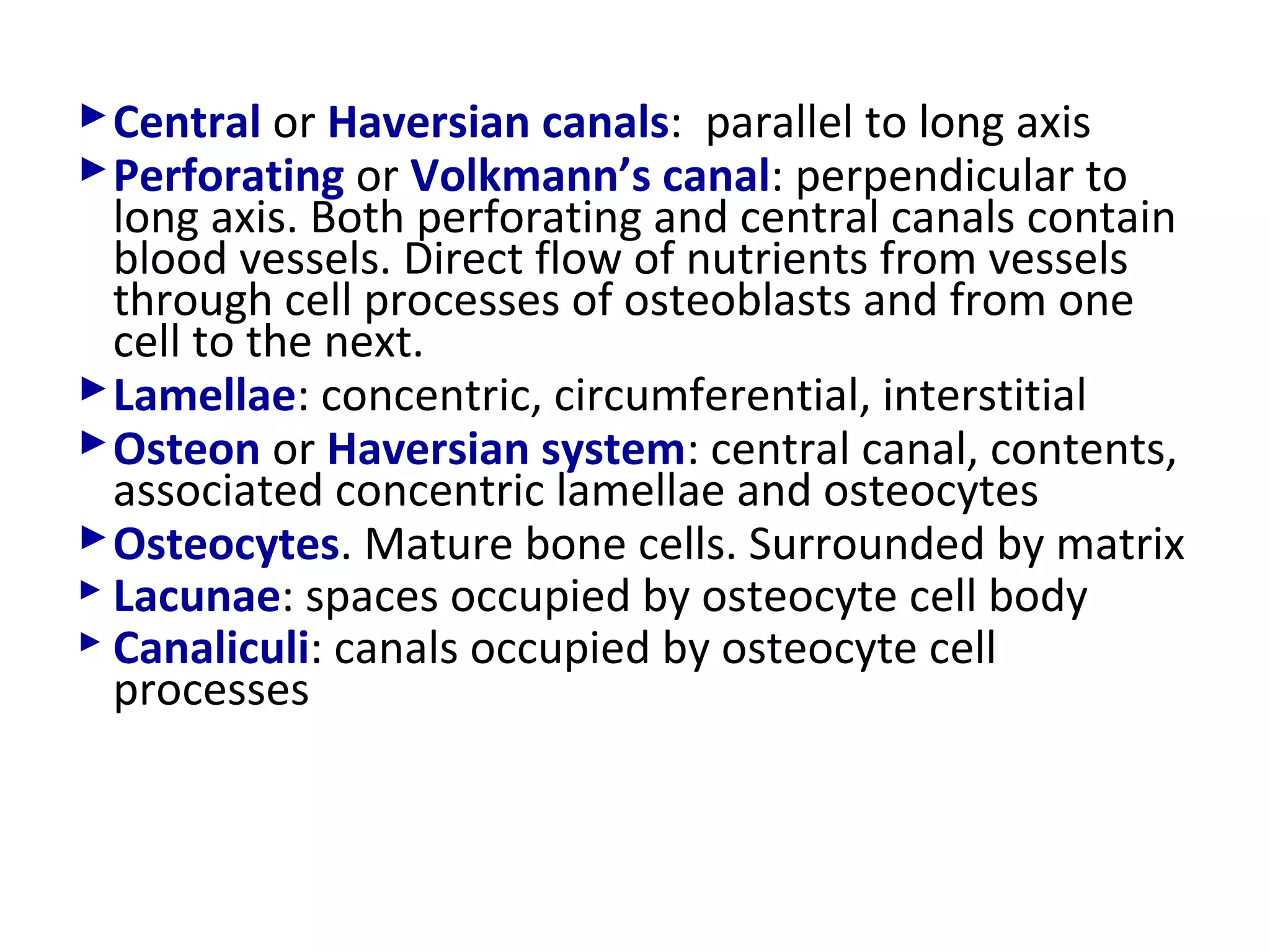 1.3 human movement system | PPT