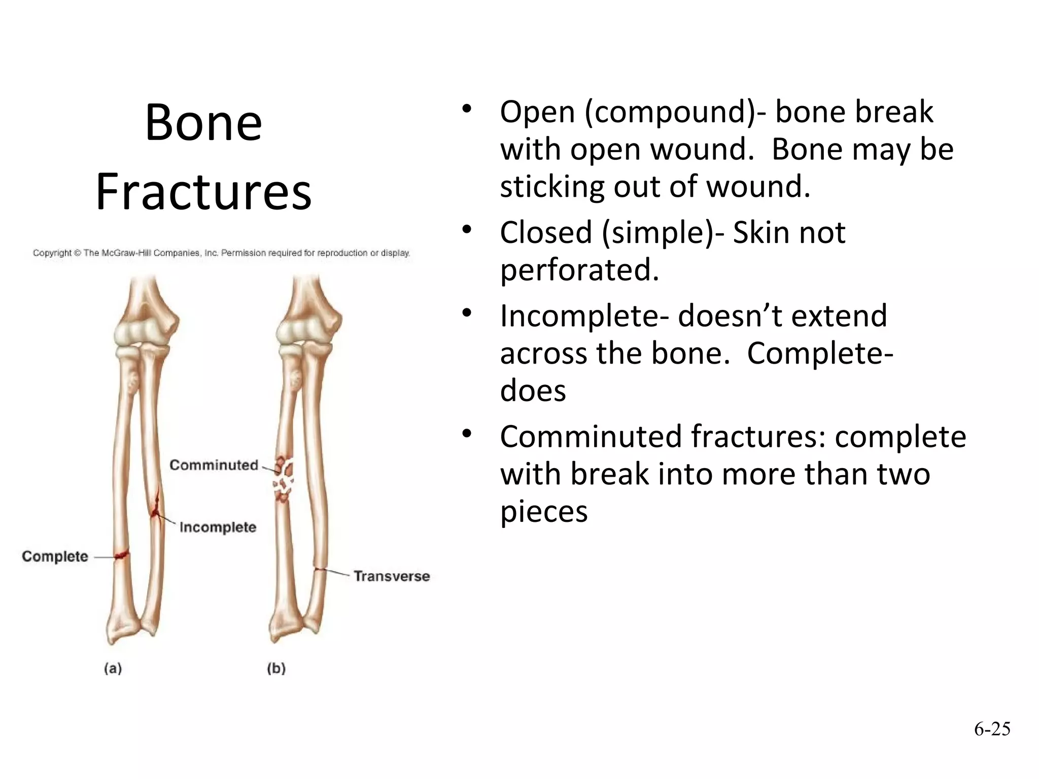 1.3 human movement system | PPT