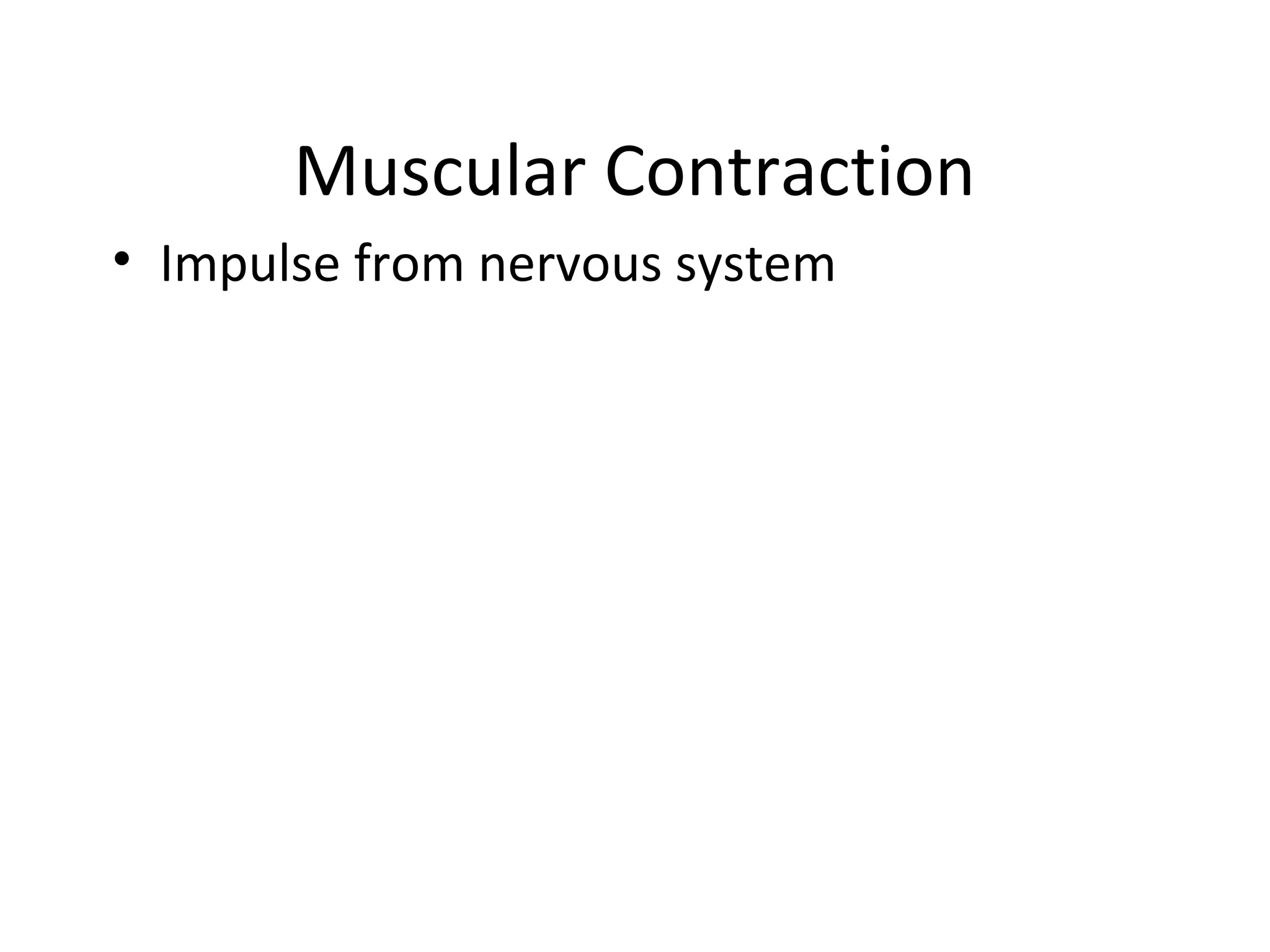 1.3 human movement system | PPT