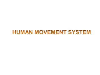 1.3 human movement system | PPT | Bone and Joint Conditions | Diseases and Conditions