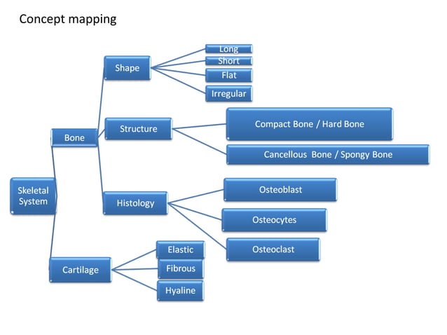 1.3 human movement system | PPT | Bone and Joint Conditions | Diseases ...
